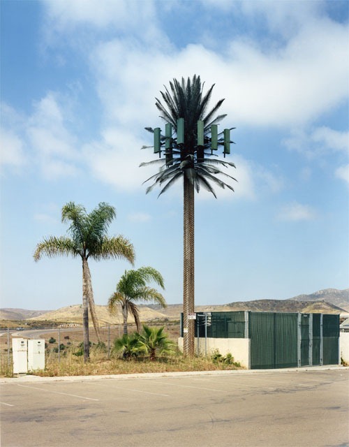 Camouflaged Cell Phone Towers | Amusing Planet